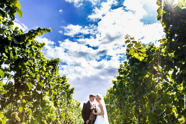 Hochzeit in Neustadt an der Weinstraße | Viktor & Juliana - Photonasa Photography