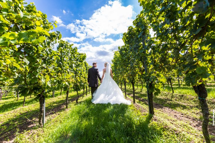 Hochzeit in Neustadt an der Weinstraße | Viktor & Juliana - Photonasa Photography